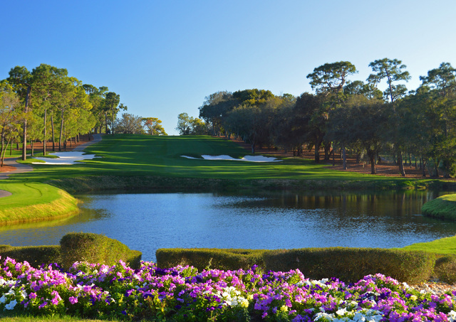 Innisbrook Golf Resort Stay & Play