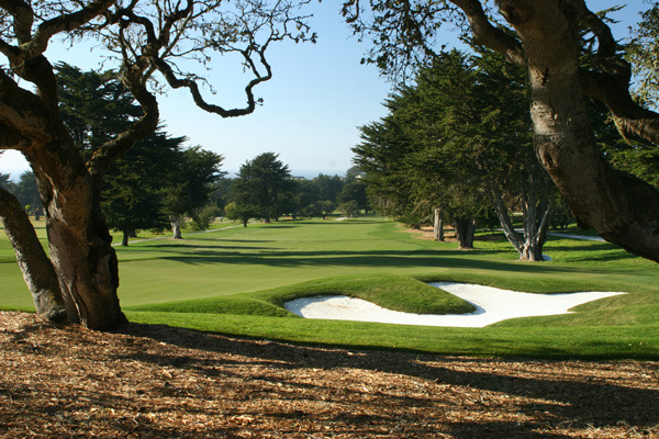 Bayonet Black Horse - Bayonet Course