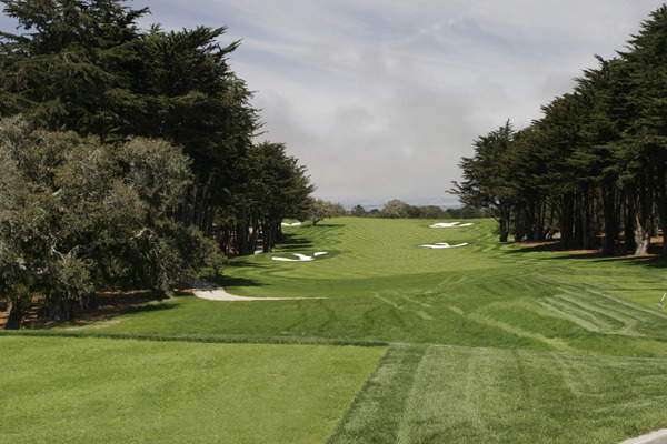 Bayonet Black Horse - Bayonet Course