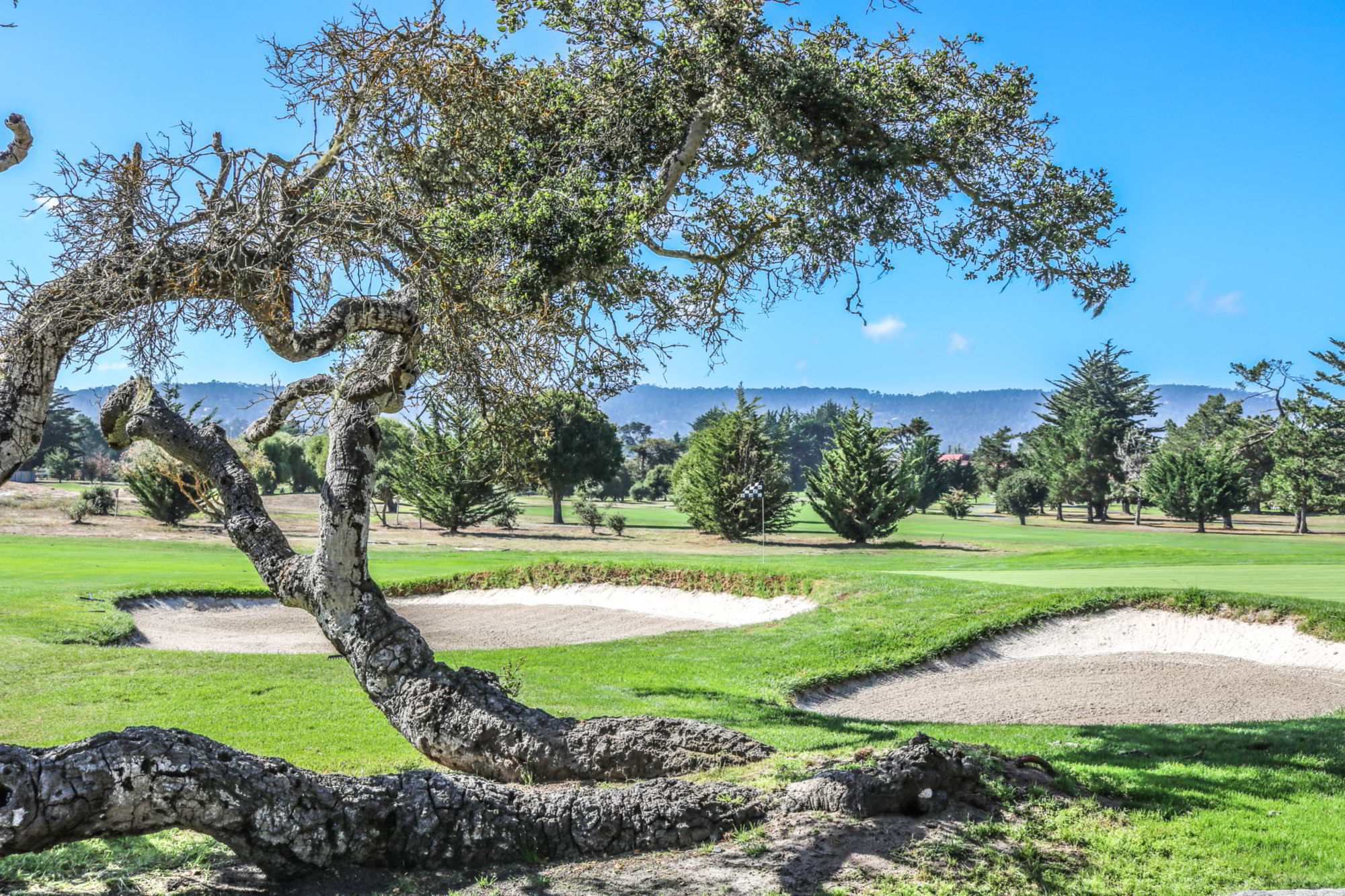 California Golf Vacation Packages - Del Monte Golf Course