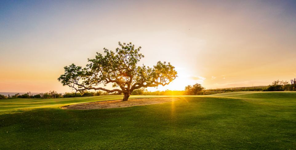 Mexico Golf Trip Packages - Diamante's El Cardonal Course