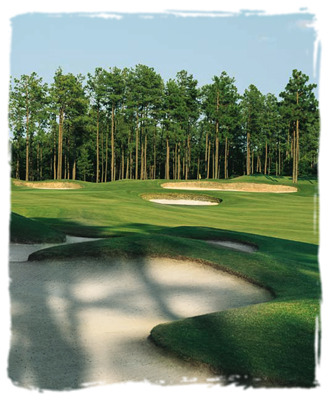 Sandhills Golf Vacation Packages - Pinewild - Holly Course