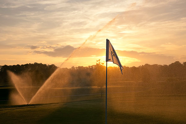 The Rookery Golf Course (Milton, DE)